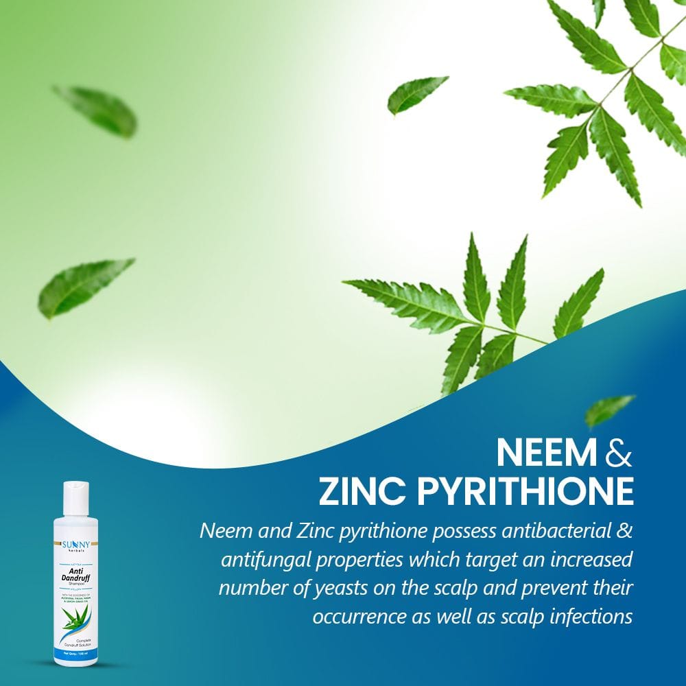 Bakson Anti Dandruff Shampoo (150ml) – Dr Homoeo Pharmacy