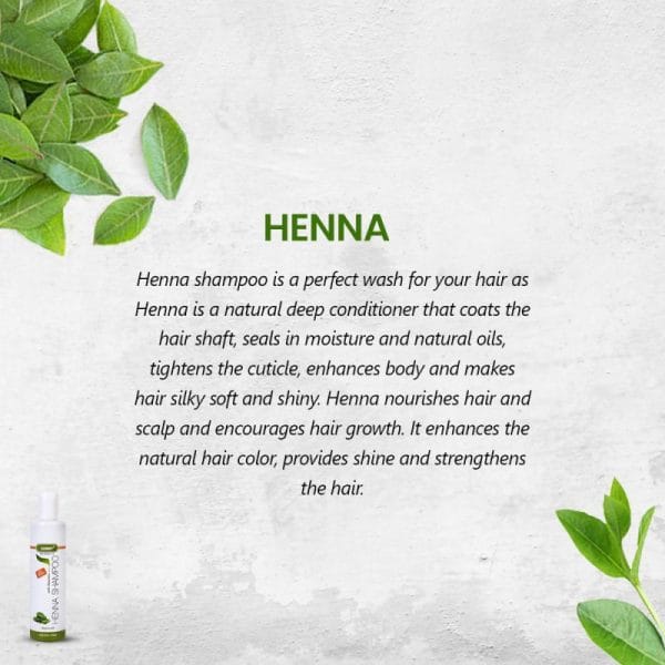 Bakson Sunny Henna Shampoo with Aloe Vera – Dr Homoeo Pharmacy